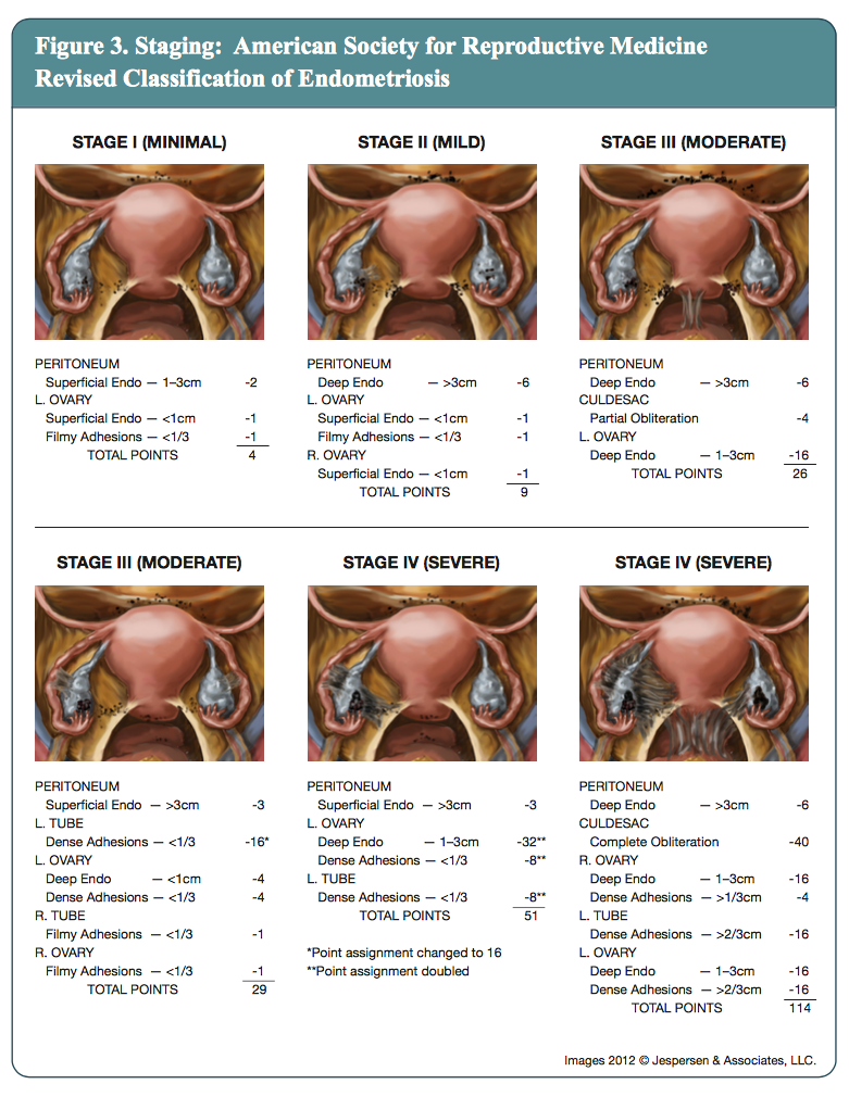 Inspiration Station: 17 Multimedia Resources for Teaching 2 Ob-Gyn ...